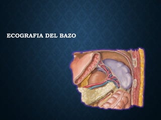 4.ESTUDIO ECOGRAFICO DEL BAZO Y SUS PATOLOGIAS..pptx