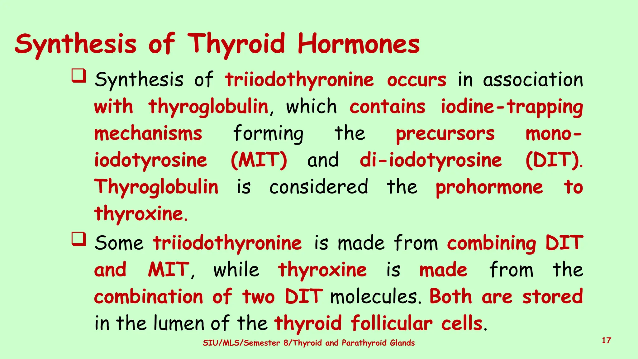 4. Thyroid and Parathyroid Glands 2018.pptx