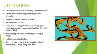 mikrobiologi parasit yang berhubungan... | PPT