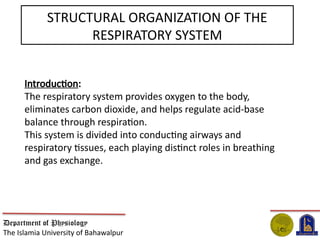4. Respiratory System.pptx based on respiratory distress and systems | PPTX