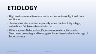 Hyperthermia BASICS IN ANIMALS MECHANISM.pptx