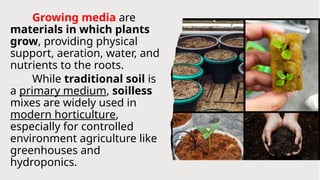 4. Growing Media in the Garden for Plants.pptx
