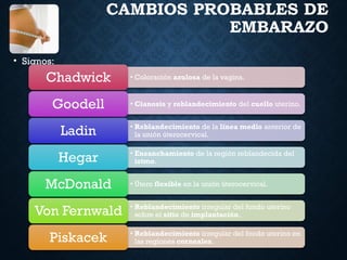 4.- CAMBIOS FISIOLOGICOS DEL EMBARAZO.pptx