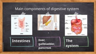 Digestive system ....................... | PPTX