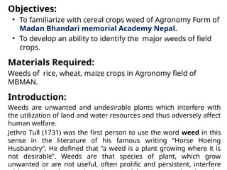 4. Identification of weed in field crops.pptx