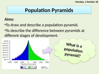 Understanding Population Pyramids: Age, Gender, and Development Stages ...
