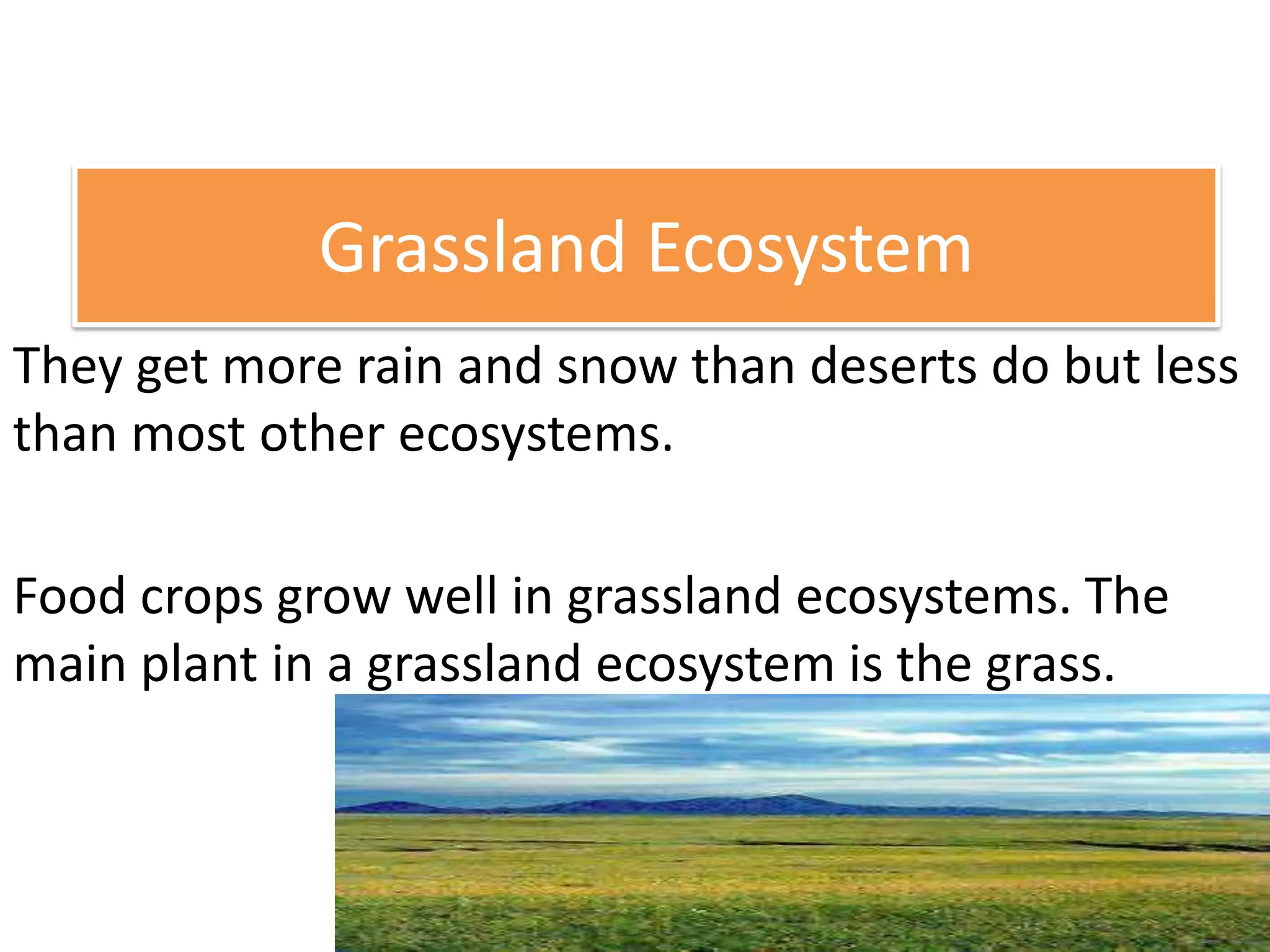 4.2 what are ecosystems | PPT