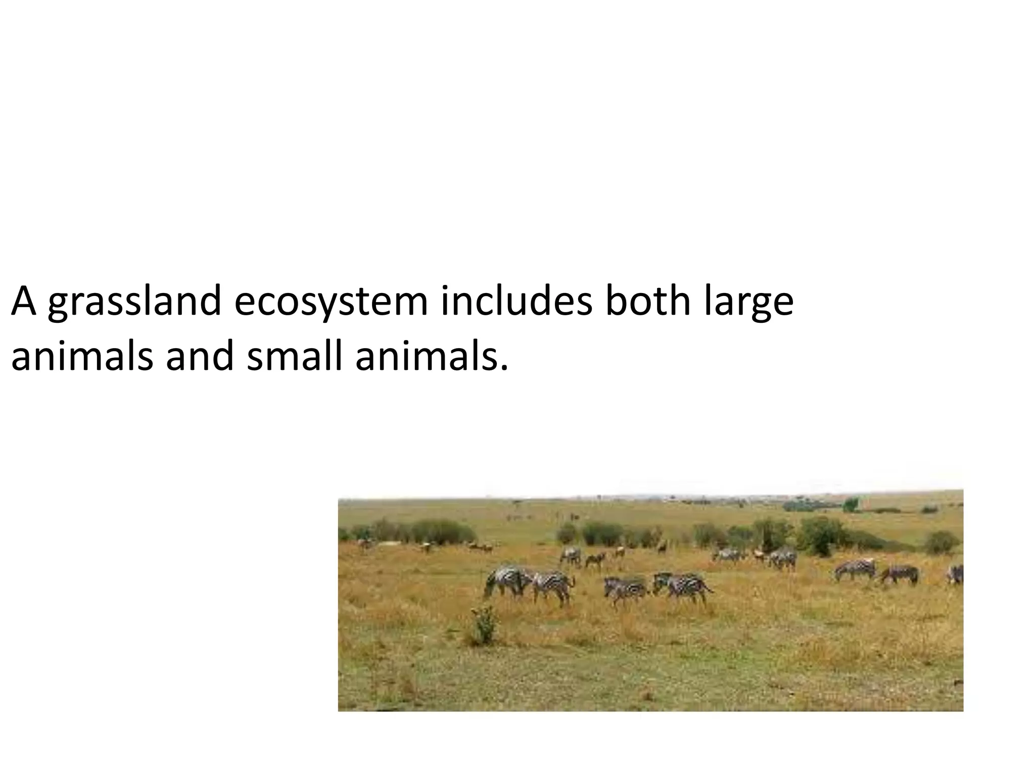 4.2 what are ecosystems | PPT
