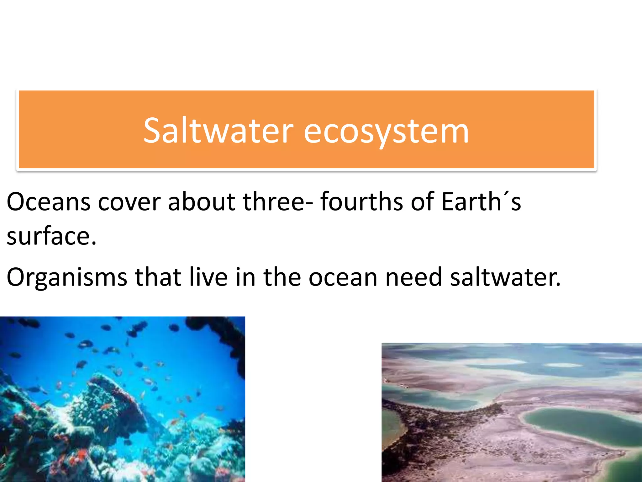 4.2 what are ecosystems | PPT