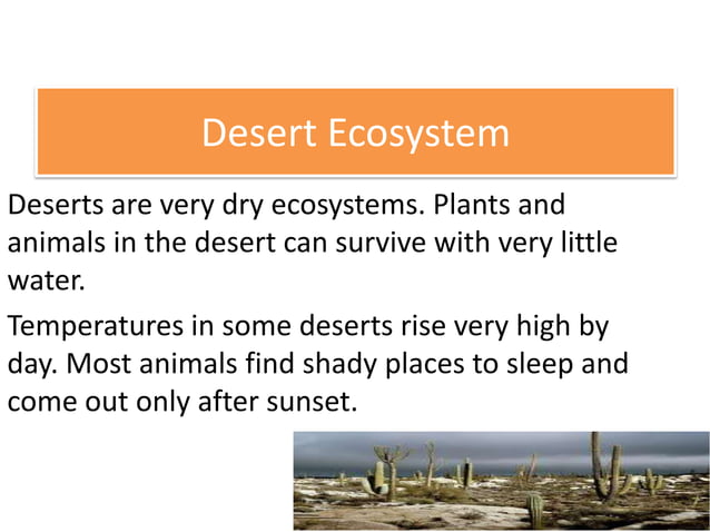 4.2 what are ecosystems | PPT
