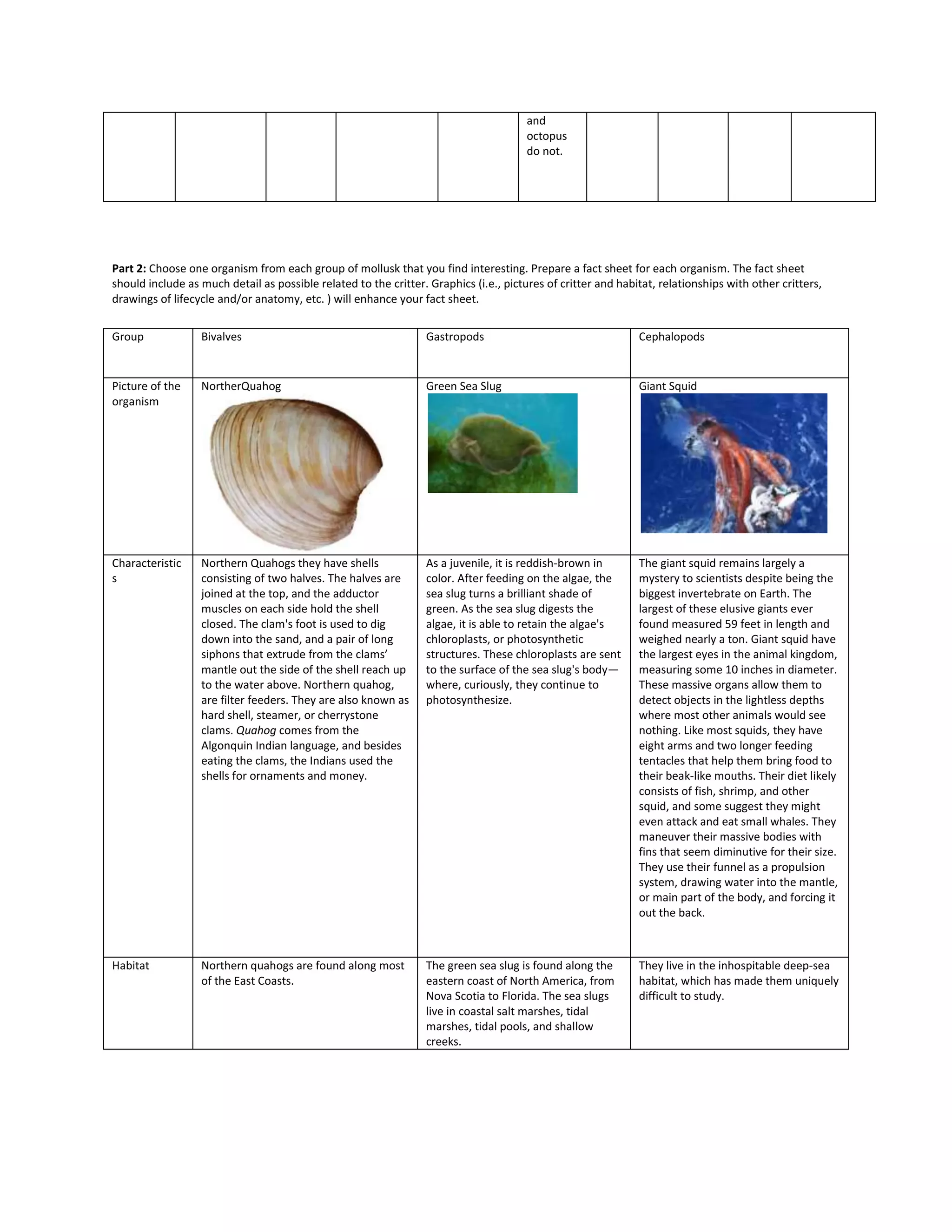 4.4.2 mollusks comparison and fact sheet | DOCX | Biological Sciences ...