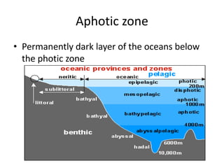 4 4 aquatic ecosystems(biology) | PPTX