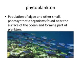4 4 aquatic ecosystems(biology) | PPTX
