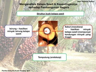 Menganalisis minyak kelapa sawit dan kepentingannya terhadap ...