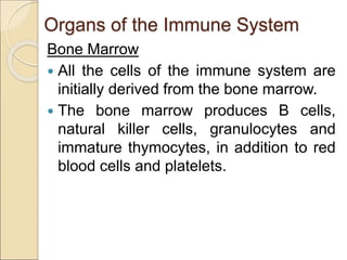4-5.-Immune.Lymphatic.Ana.Physio.Patho.ppt