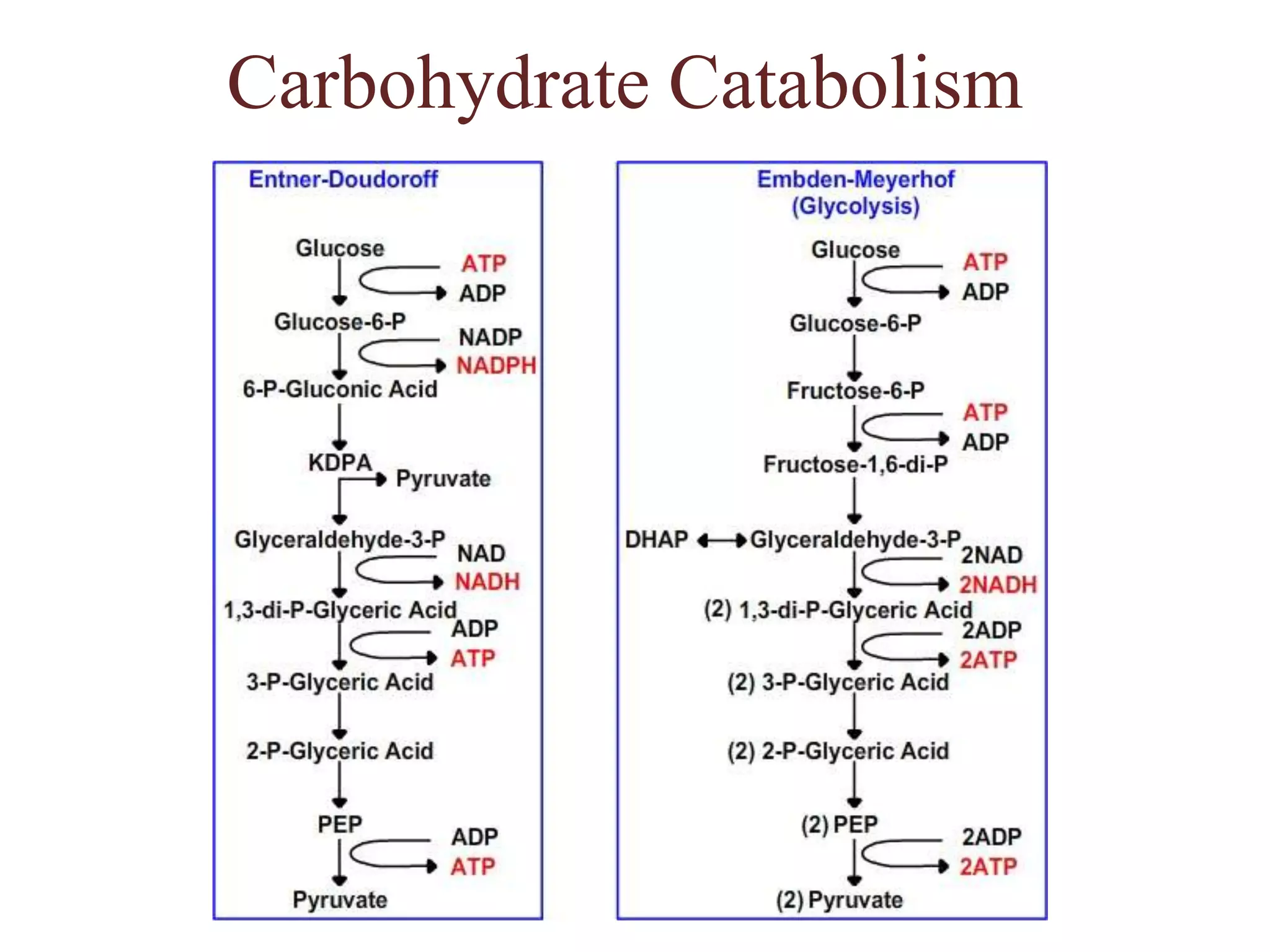 4 5-microbial nutrition and culture (2) | PPTX | Chemistry | Science