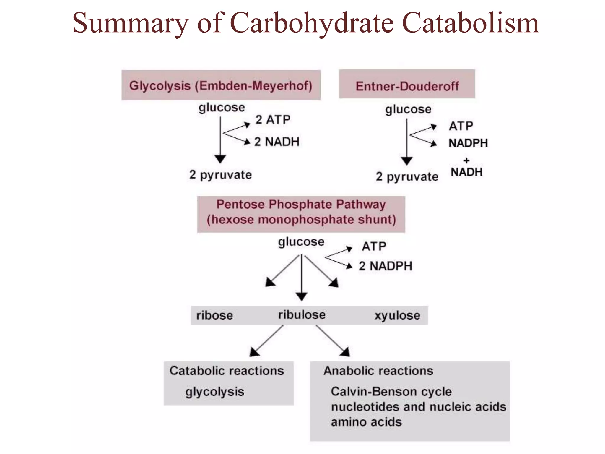 4 5-microbial nutrition and culture (2) | PPTX | Chemistry | Science