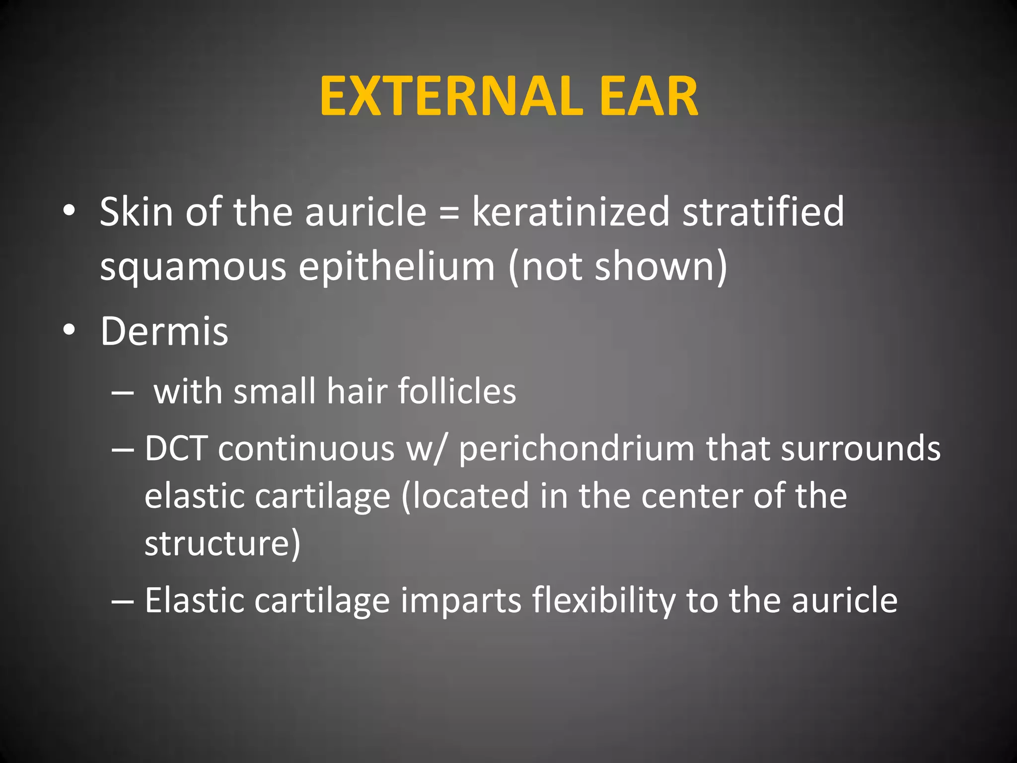 Ear histology | PPTX