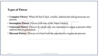 4-5 Morphology of plant ( remedial biology ) | PPT