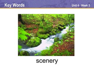 4.5 visual vocabulary cards | PPT