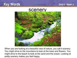 4.5 visual vocabulary cards | PPT