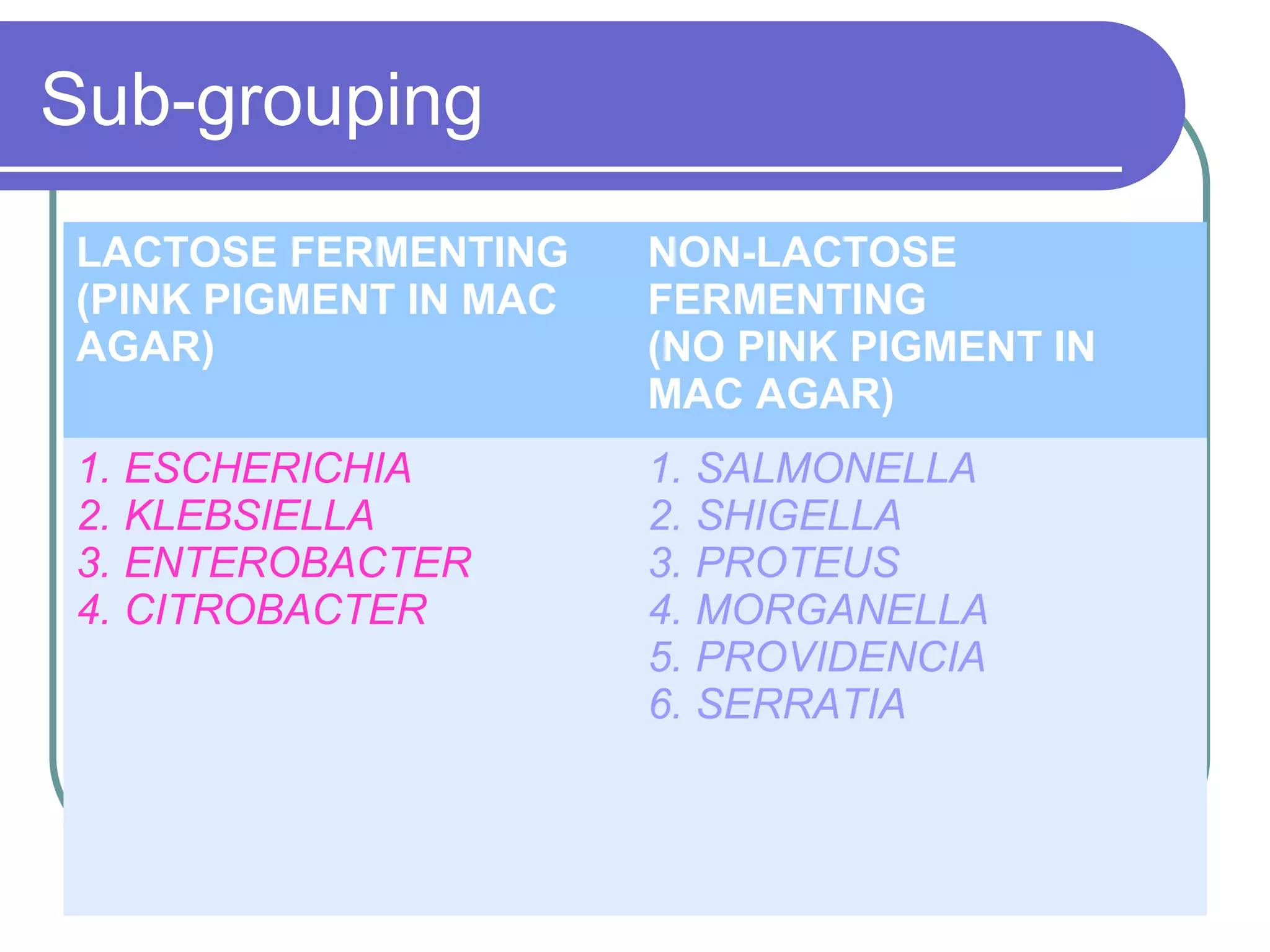 Enterobacteriaceae & Brucella | PPT