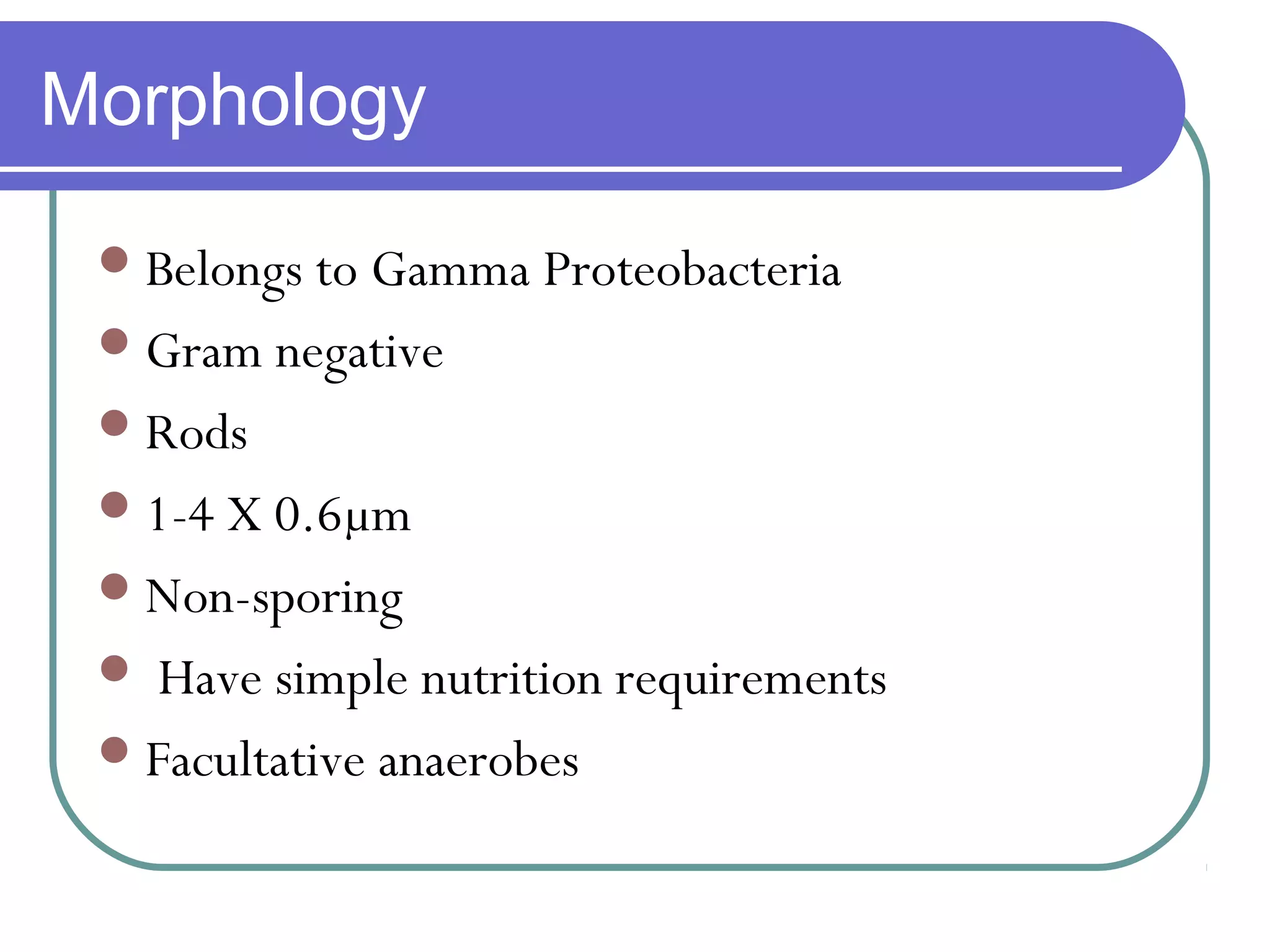 Enterobacteriaceae & Brucella | PPT