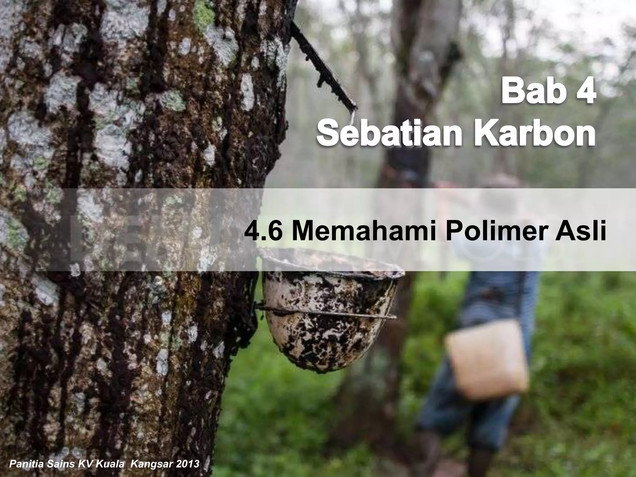 Memahami polimer asli | PPTX