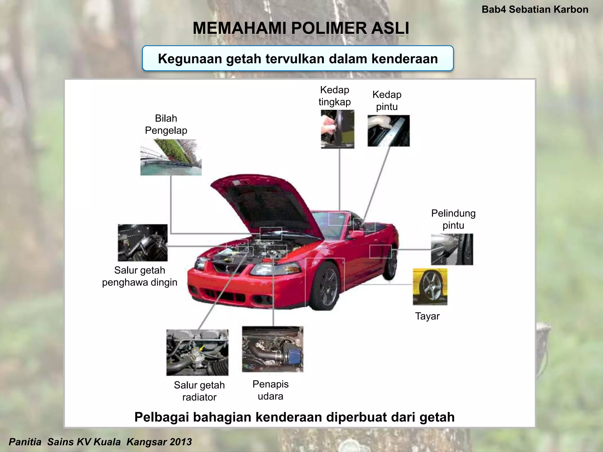 Memahami polimer asli | PPTX