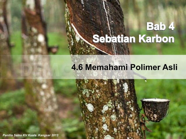 Memahami polimer asli | PPTX