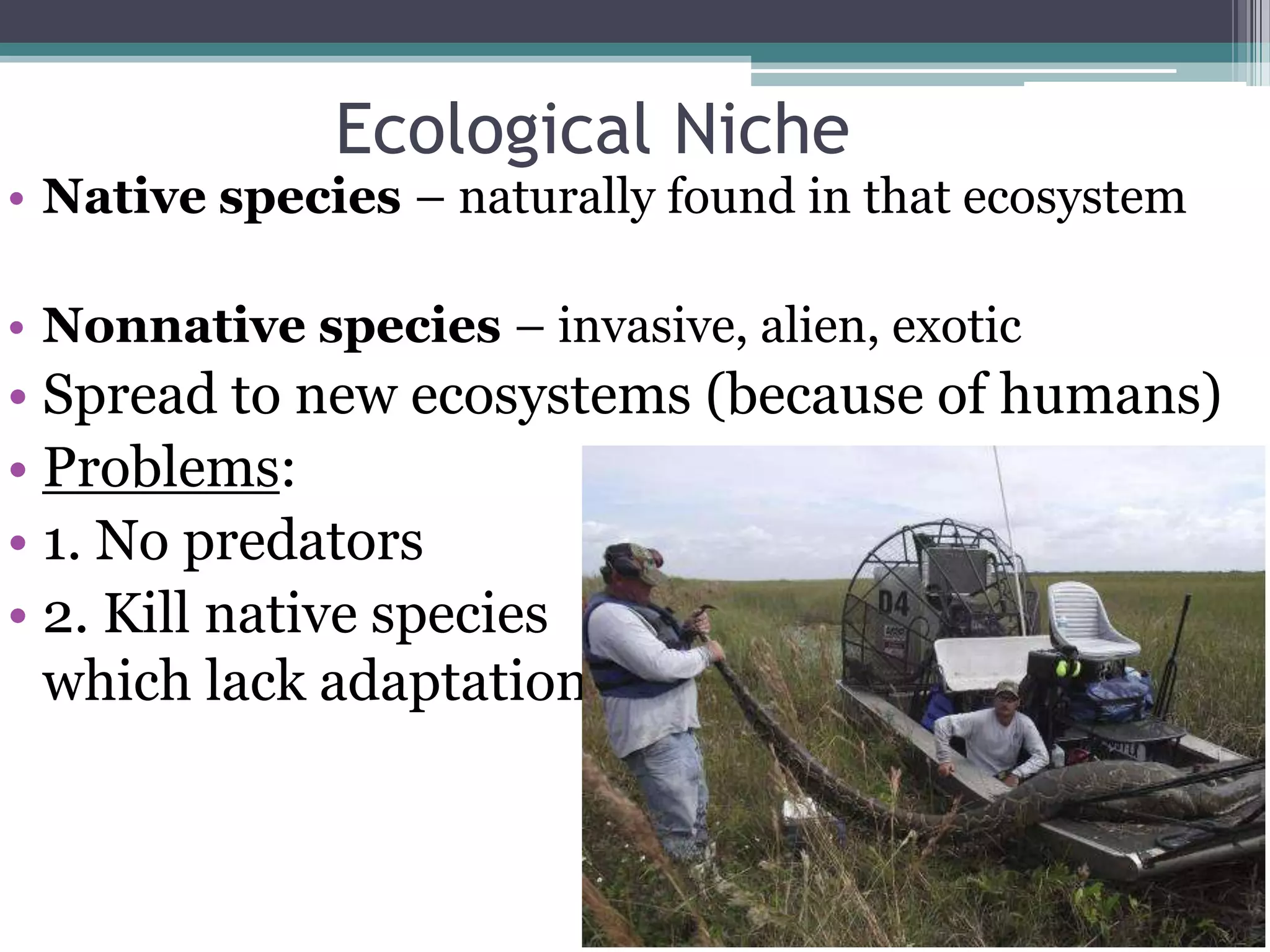 4 6 species role in ecosystems | PPTX