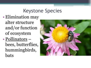 4 6 species role in ecosystems | PPTX