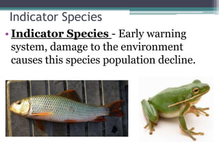 4 6 species role in ecosystems | PPT