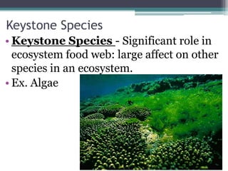 4 6 species role in ecosystems | PPT