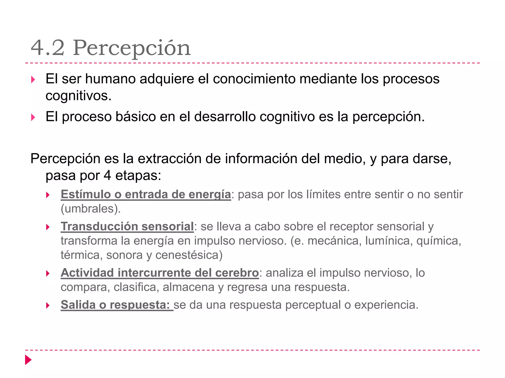 4 6 Tipos De PercepcióN | PPTX