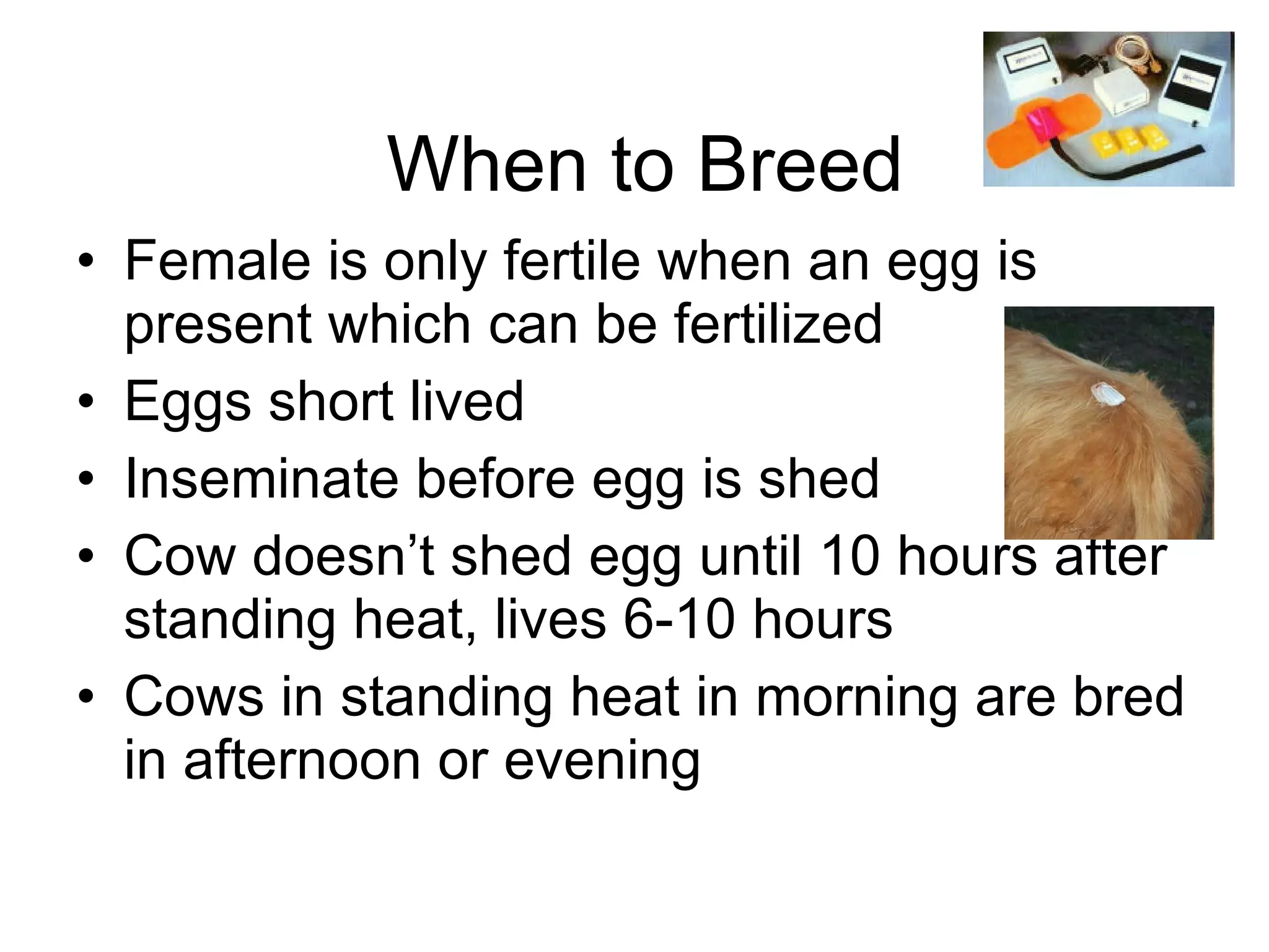 4 7 livestock reproduction | PPT
