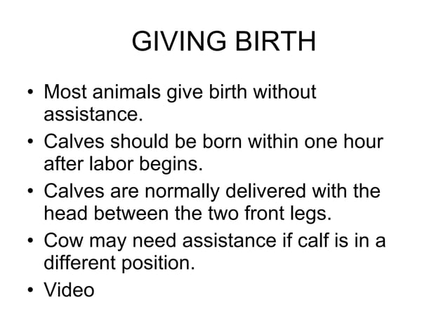 4 7 livestock reproduction | PPT