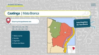 4-7o-ano-ciencias-biomas-brasileiros.pptx