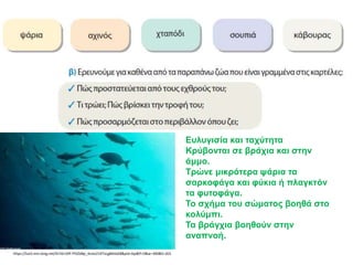 Ε4-Κ8-ΖΩΑ ΤΗΣ ΘΑΛΑΣΣΑΣ-Ε4-Κ9-ΖΩΑ ΤΟΥ ΓΛΥΚΟΥ ΝΕΡΟΥ | PPTX