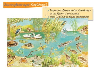 Ε4-Κ8-ΖΩΑ ΤΗΣ ΘΑΛΑΣΣΑΣ-Ε4-Κ9-ΖΩΑ ΤΟΥ ΓΛΥΚΟΥ ΝΕΡΟΥ | PPTX