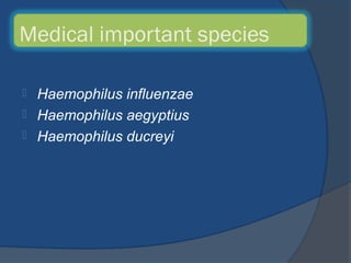 Haemopilus,Staphylococous & Streptococcus | PPT | Infectious Diseases ...
