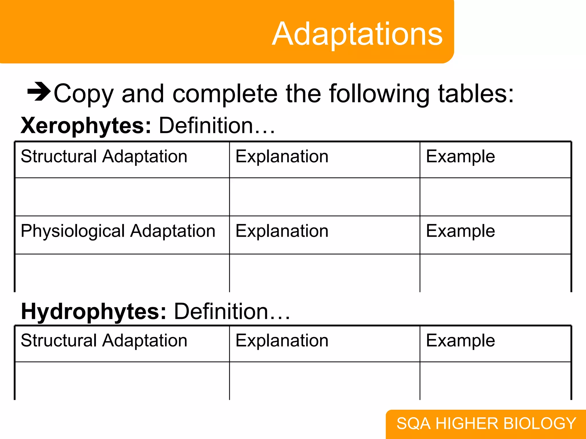 4. Adaptations | PPT