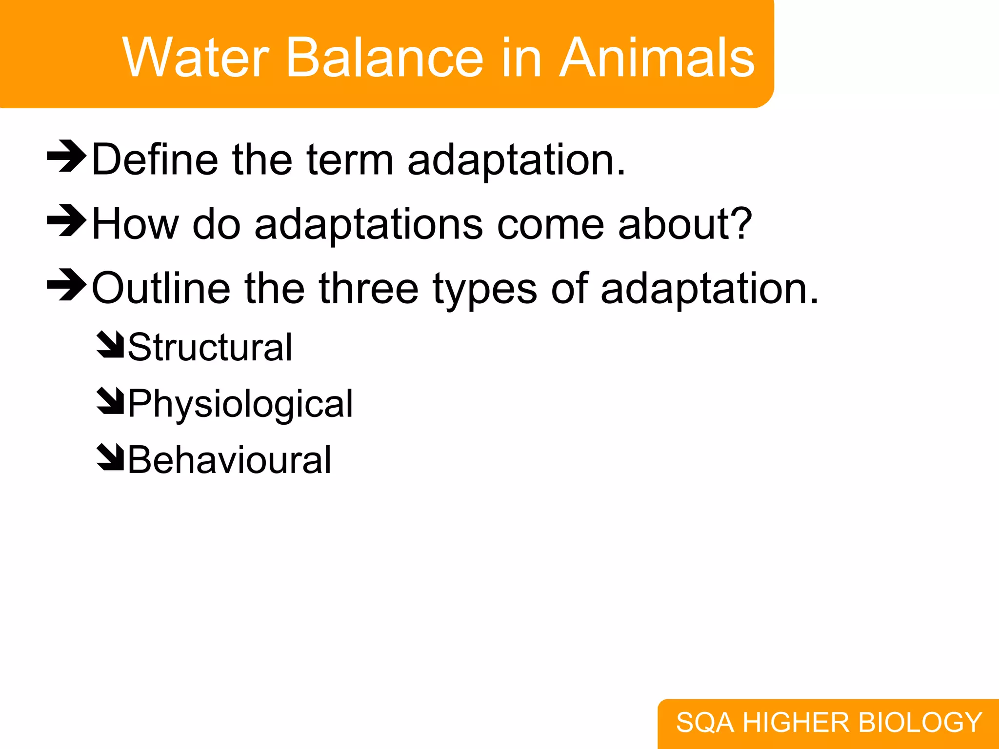 4. Adaptations | PPT