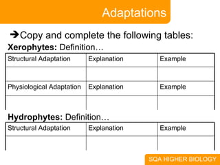 4. Adaptations | PPT