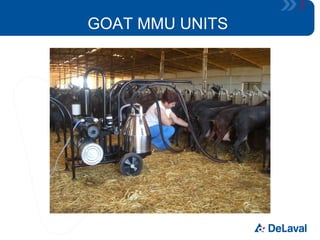 4 affordable-milking-technology-esada | PPT