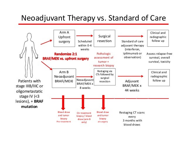 Adjuvant and Neoadjuvant Therapy in Melanoma - Rodabe N. Amaria, MD