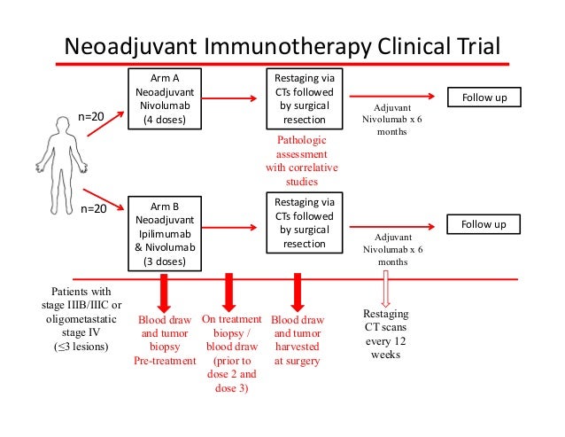 Adjuvant and Neoadjuvant Therapy in Melanoma - Rodabe N. Amaria, MD