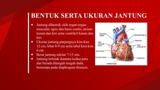 4-anatomi-dan-fisiologi-jantung_compress.pdf