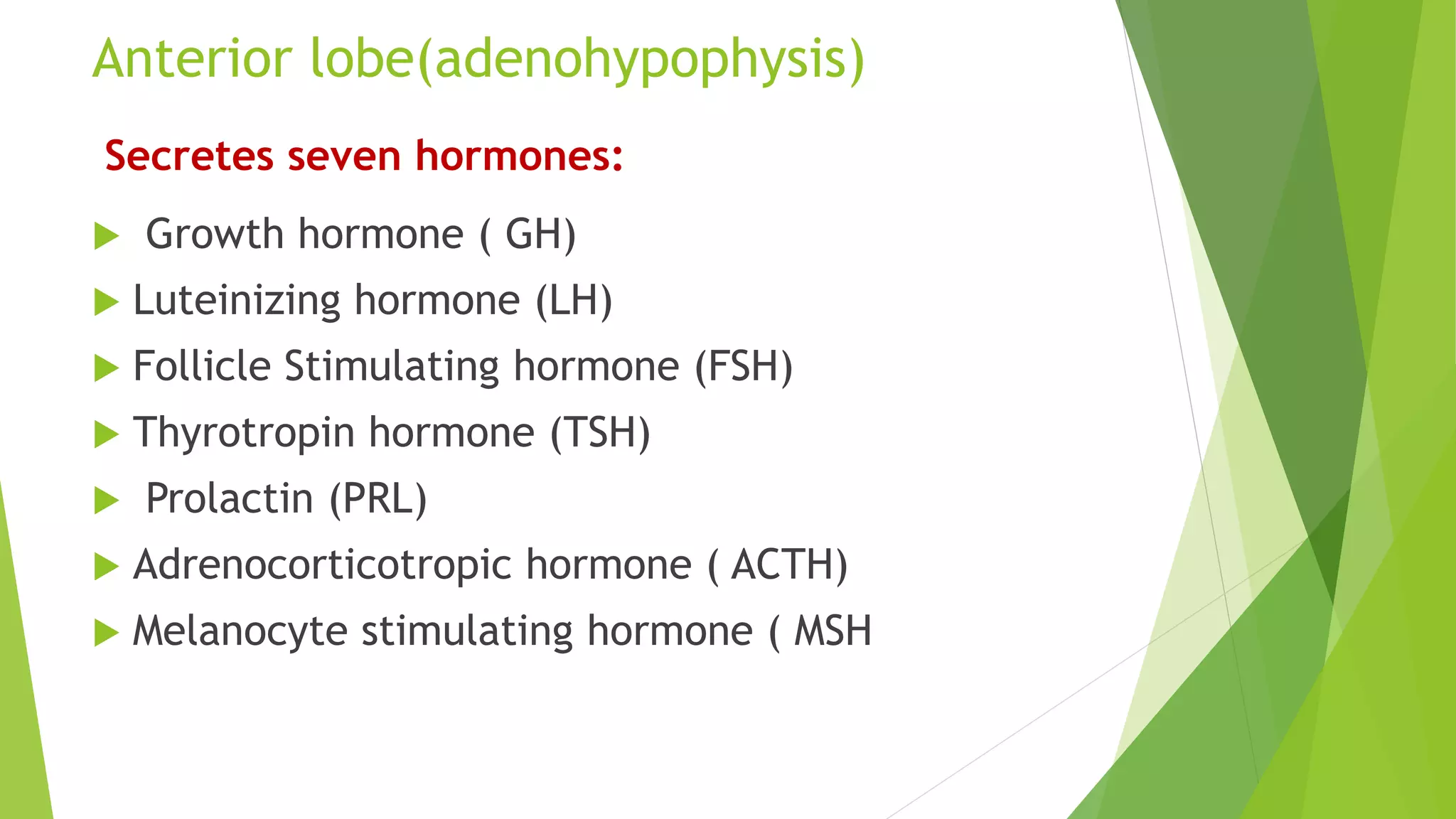 4-Anatomy of endocrine system (1).pdf