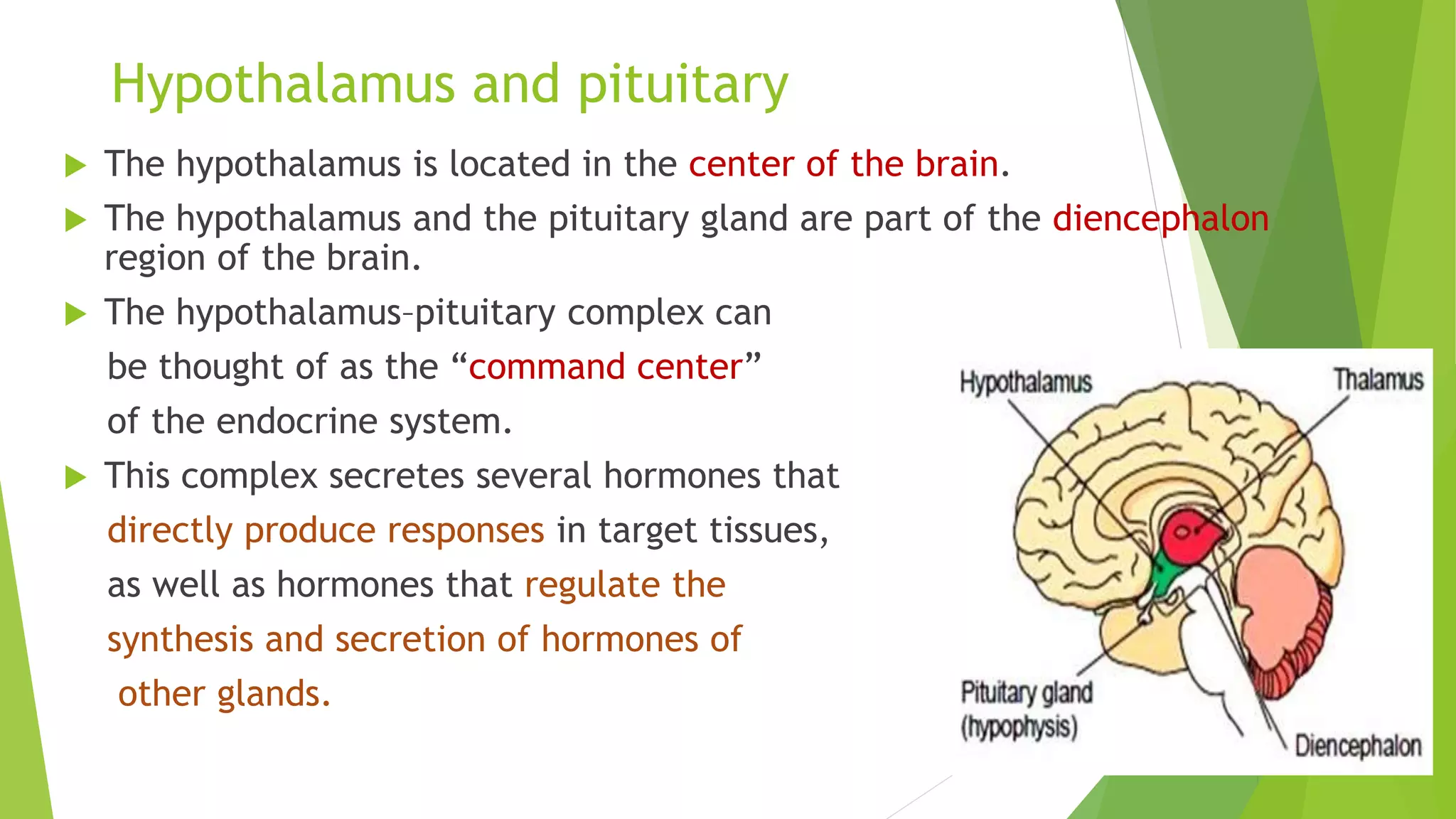 4-Anatomy of endocrine system (1).pdf
